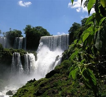 Divine Nwokedi | WDD 130